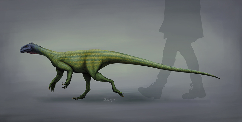Thecodontosaurus Dinosaur Planet Remake New Ideas By Matt Weaver Wiki