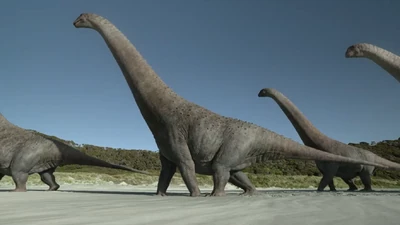 Alamosaurus | New ideas by Matt Weaver Wiki | Fandom