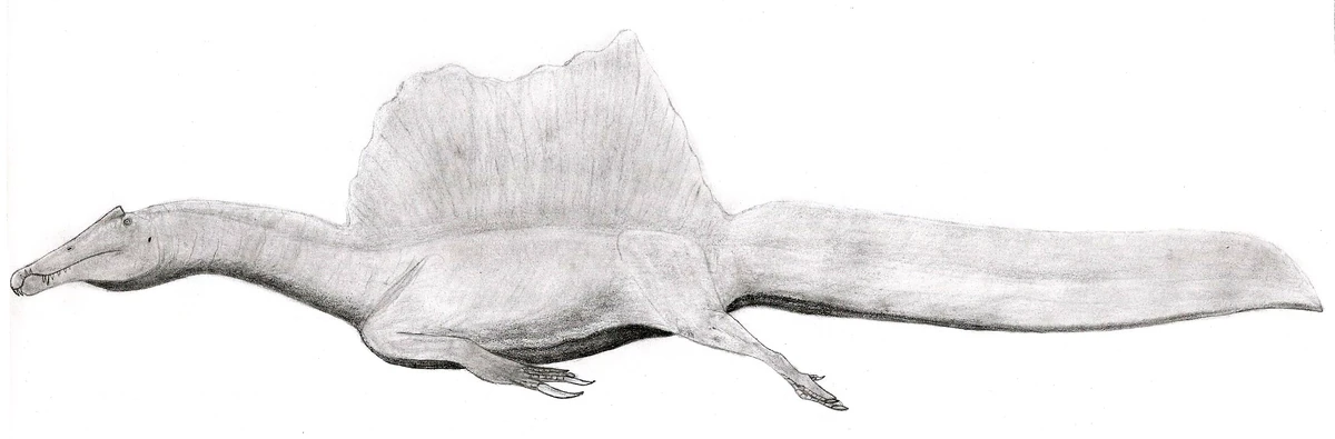 The Spinosaurus Paddle-Jurassic Kratts Sea Adventures | New ideas by ...