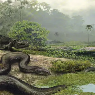Titanoboa | New ideas by Matt Weaver Wiki | Fandom