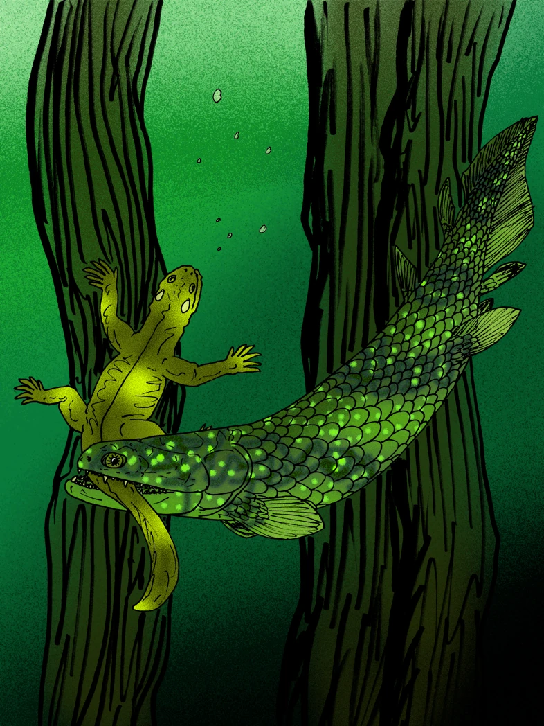 Boneheads: detectives of the paleoworld-go fish! | New ideas by Matt ...