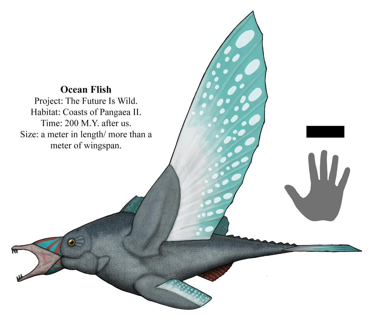 Follow that ocean flish-the future is wild animated series | New ideas ...