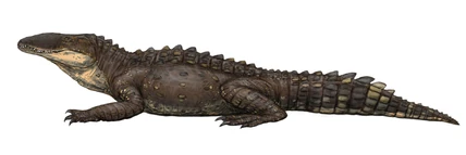 Sebecus smash-Jurassic kratts | New ideas by Matt Weaver Wiki | Fandom