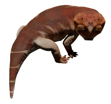 Hyperodapedon | New ideas by Matt Weaver Wiki | Fandom