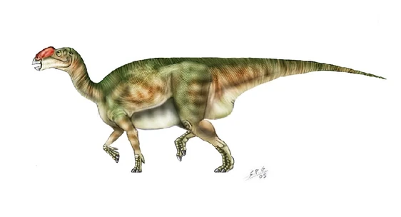 Muttaburrasaurus-Dinosaur Age Animals (Discovery Kids Documentary ...