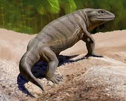 Seymouria-Dinosaur train idea | New ideas by Matt Weaver Wiki | Fandom