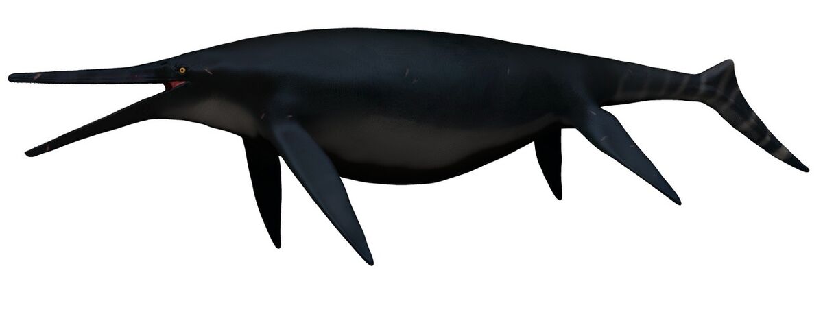 Shonisaurus New Ideas By Matt Weaver Wiki Fandom