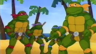 TMNT sailor moon super show-turtle tracks and sailor scout facts | New ...