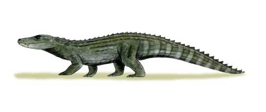 Allodaposuchus-Dinosaur planet remake | New ideas by Matt Weaver Wiki ...