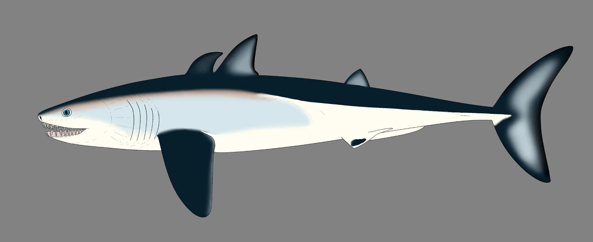 Cladoselache-wild kratts prehistoric | New ideas by Matt Weaver Wiki ...