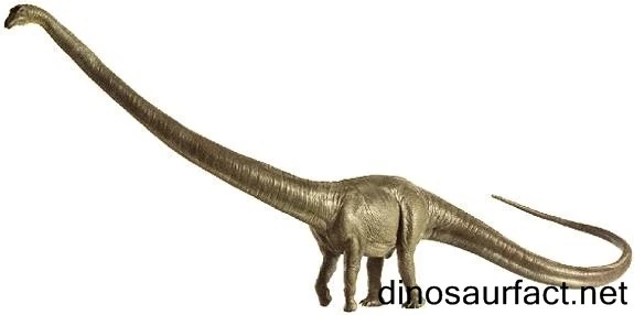 Barosaurus-Dinosaur Age Animals (Discovery Kids Documentary) | New ...