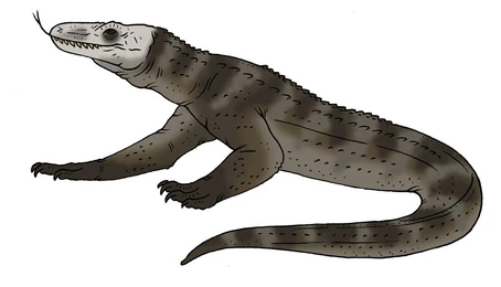 Scar Crawler-preview | New ideas by Matt Weaver Wiki | Fandom