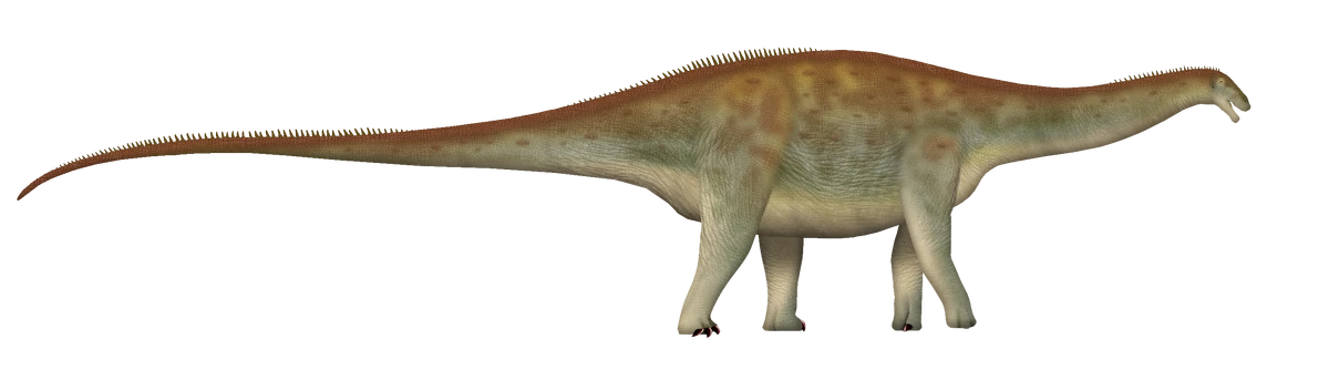 Sidersaura | New ideas by Matt Weaver Wiki | Fandom