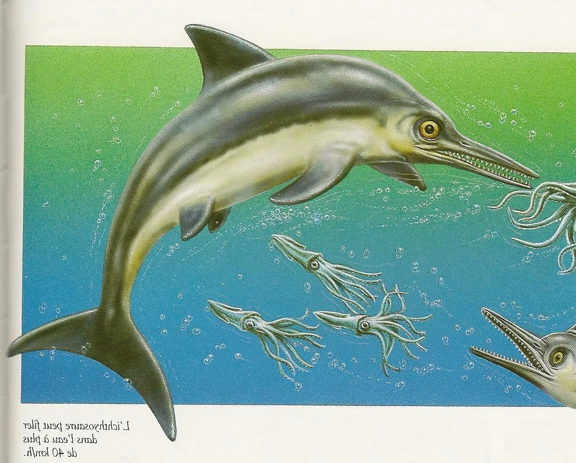 Ichthyosaurus | New ideas by Matt Weaver Wiki | Fandom