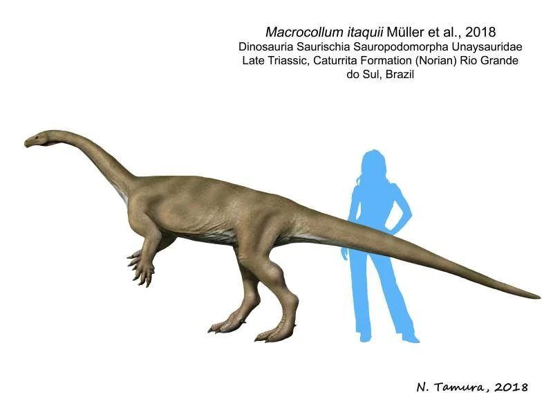 Yaleosaurus-Scar Island dinosaur | New ideas by Matt Weaver Wiki | Fandom