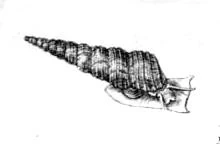 Screw-snail-Dinotrux | New ideas by Matt Weaver Wiki | Fandom