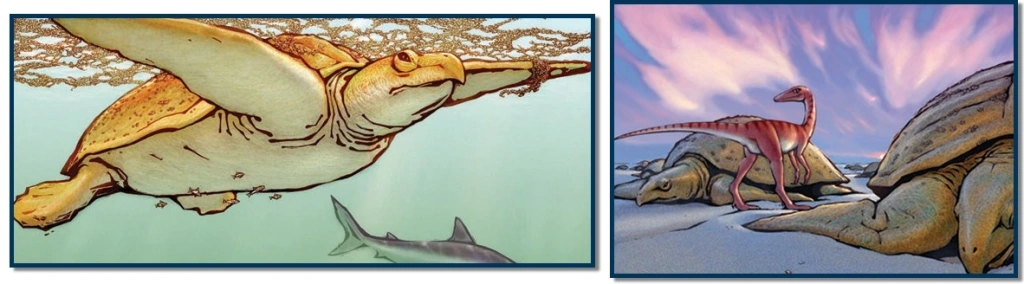 The Voyage of Turtle rex movie preview 1 | New ideas by Matt Weaver ...