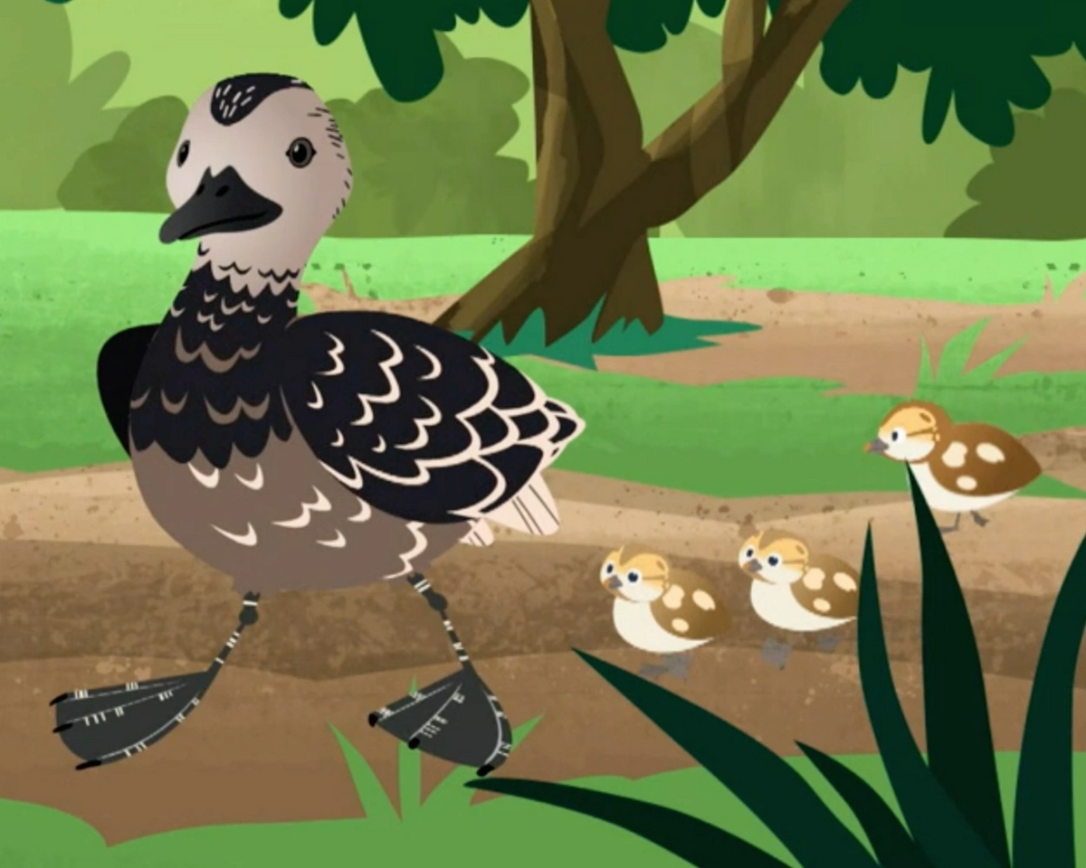 Duck Duck Kratt Wild Kratts New Ideas By Matt Weaver Wiki Fandom