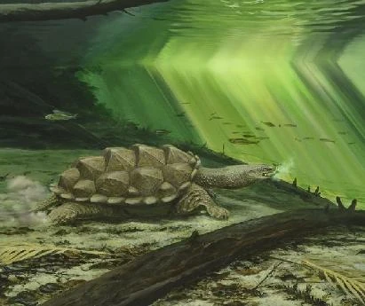 Dinosaur Train-the fishing turtle | New ideas by Matt Weaver Wiki | Fandom