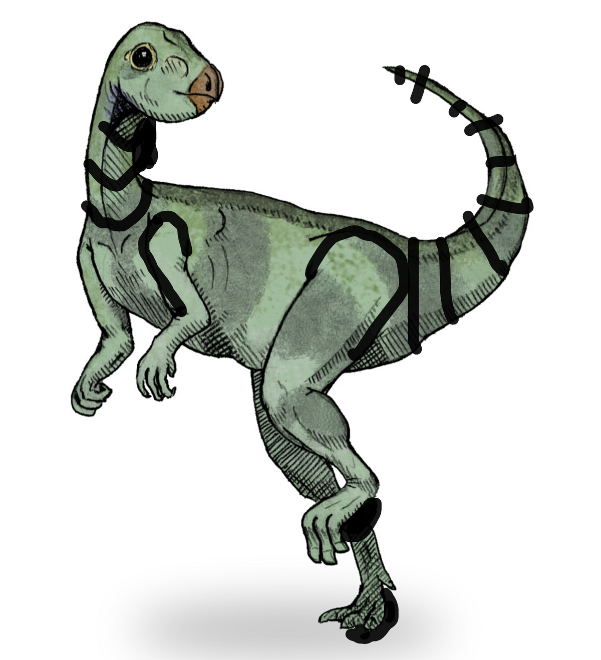 Qantassauratrux Dinotrux Supercharged 20 New Ideas By Matt Weaver