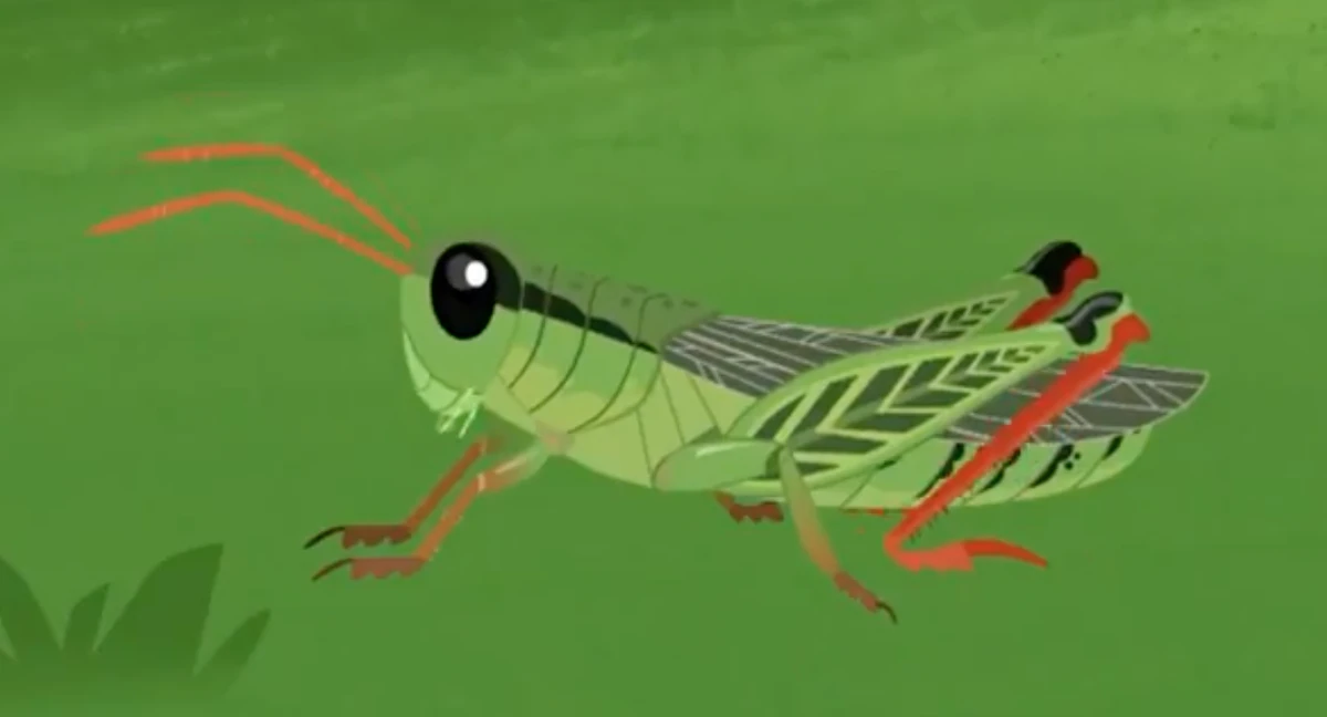 Wild Kratts preview-catapult the grasshopper | New ideas by Matt Weaver Wiki | Fandom