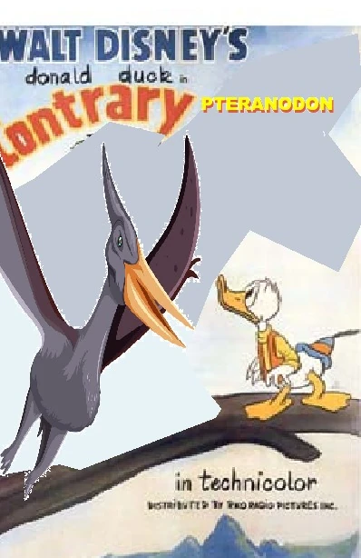 The Contrary Pteranodon-New Donald Duck Cartoon | New ideas by Matt ...