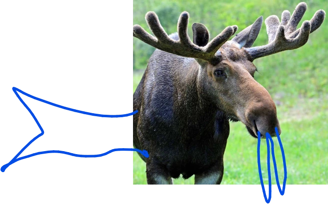 MOOSELS FROM WUZZLES | New ideas by Matt Weaver Wiki | Fandom