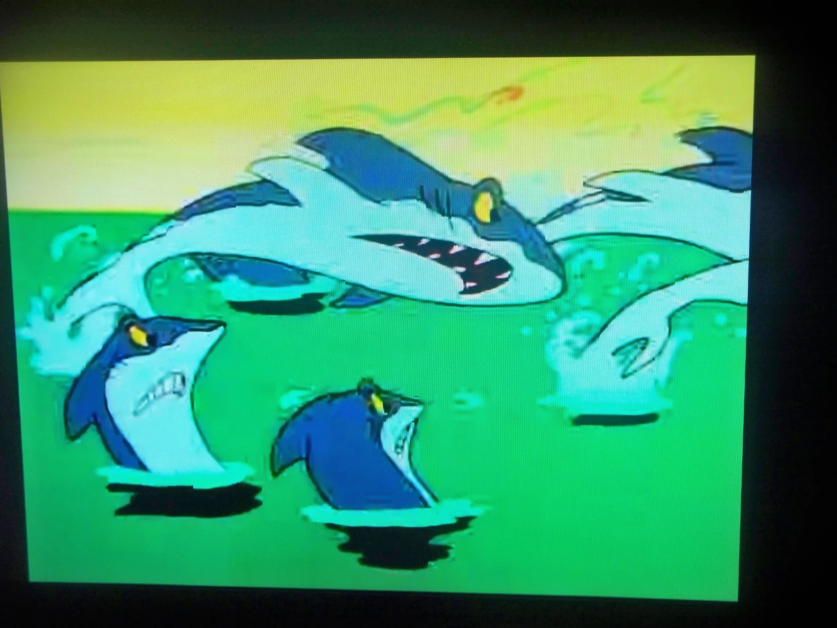 Sonic the hedgehog preview-Sharks win preview | New ideas by Matt ...