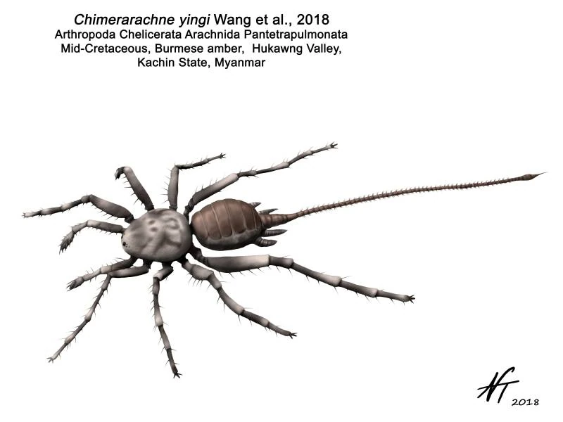 Chimerarachne preview | New ideas by Matt Weaver Wiki | Fandom