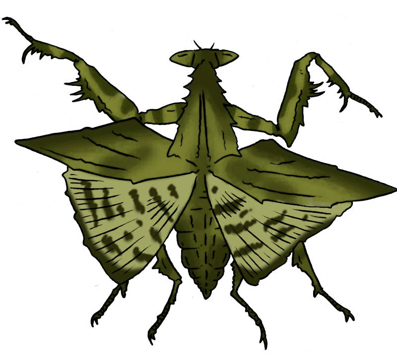 Scar Isle Forest-striped mantis | New ideas by Matt Weaver Wiki | Fandom