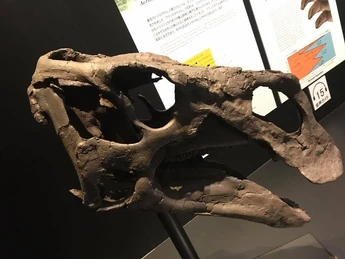 Acristavus quest-Jurassic kratts | New ideas by Matt Weaver Wiki | Fandom