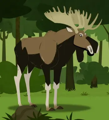 Wild Kratts-Moose move out | New ideas by Matt Weaver Wiki | Fandom