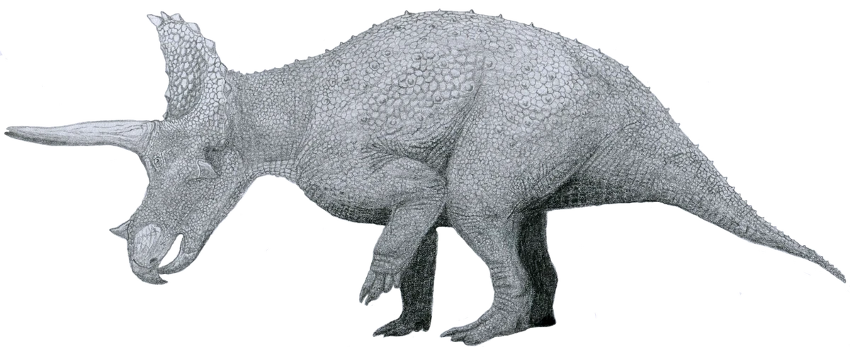 Wild kratts prehistoric preview-Triceratops trouble | New ideas by Matt ...