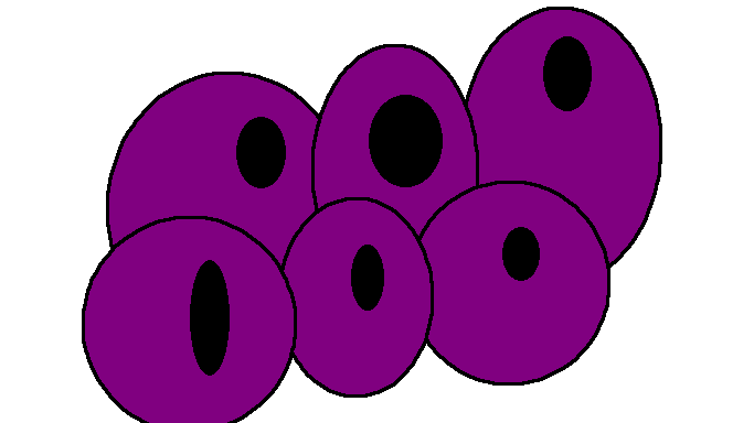 Gooble Berries Zobooland New Ideas By Matt Weaver Wiki Fandom