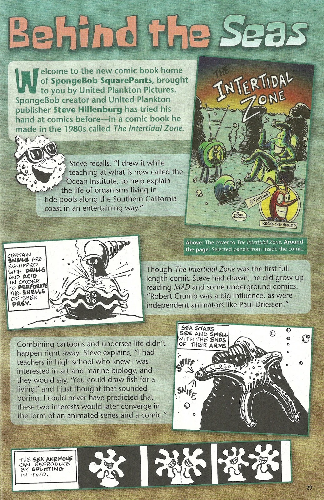 The Intertidal zone preview | New ideas by Matt Weaver Wiki | Fandom