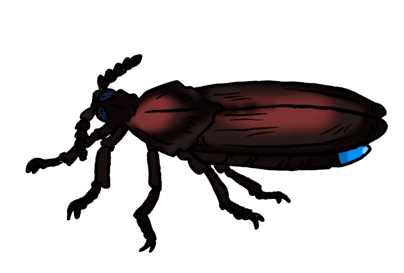 Scar Isle bug-Azure-faced firefly | New ideas by Matt Weaver Wiki | Fandom