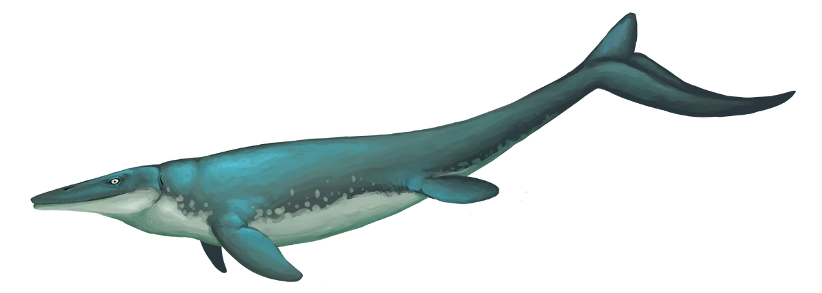 Ectenosaurus | New ideas by Matt Weaver Wiki | Fandom