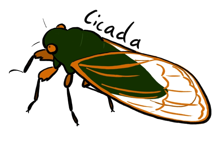 Cicada Lbt Idea New Ideas By Matt Weaver Wiki Fandom