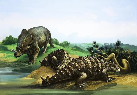 Centrosaurus-LBT preview | New ideas by Matt Weaver Wiki | Fandom