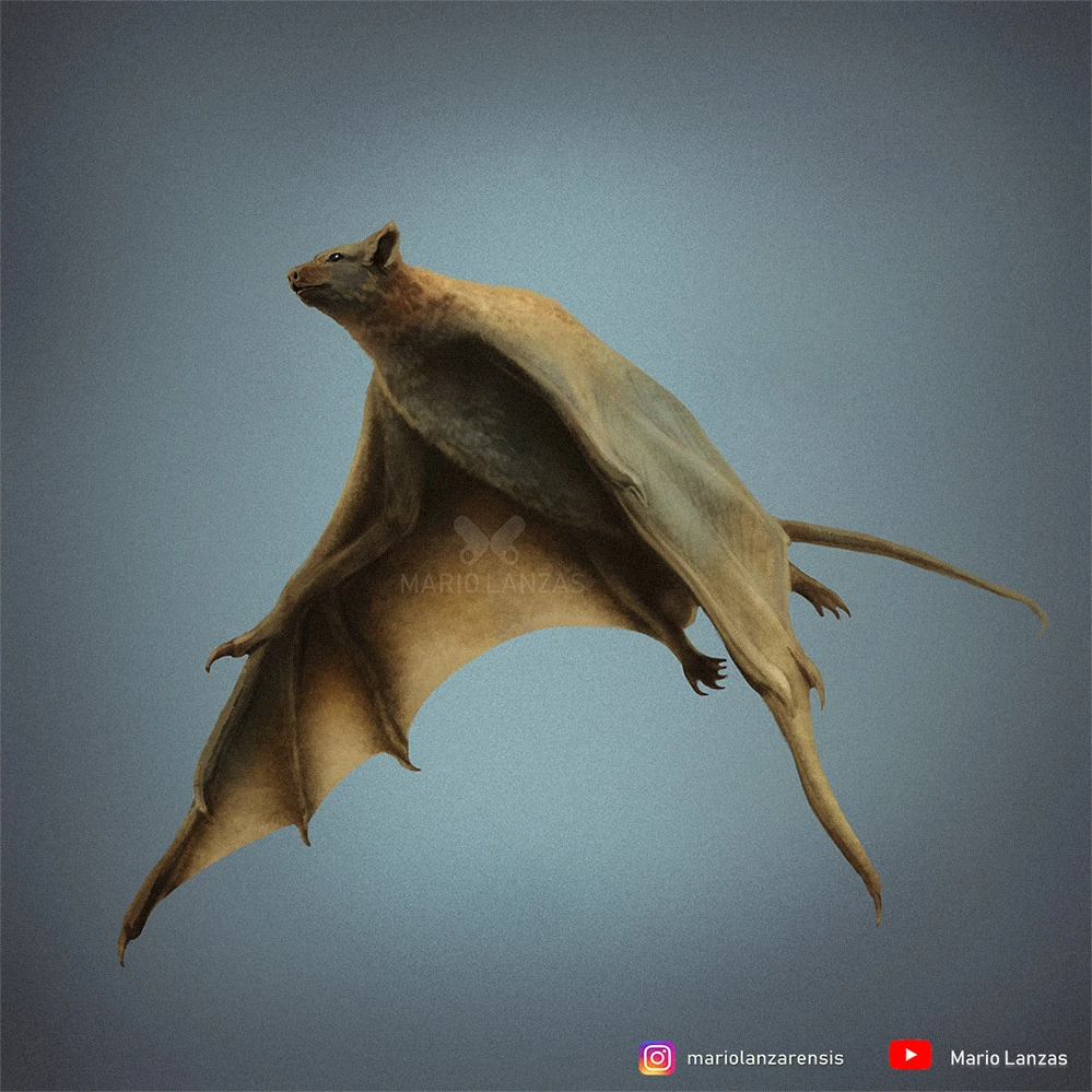 Early bat-the Most extreme fanmade | New ideas by Matt Weaver Wiki | Fandom