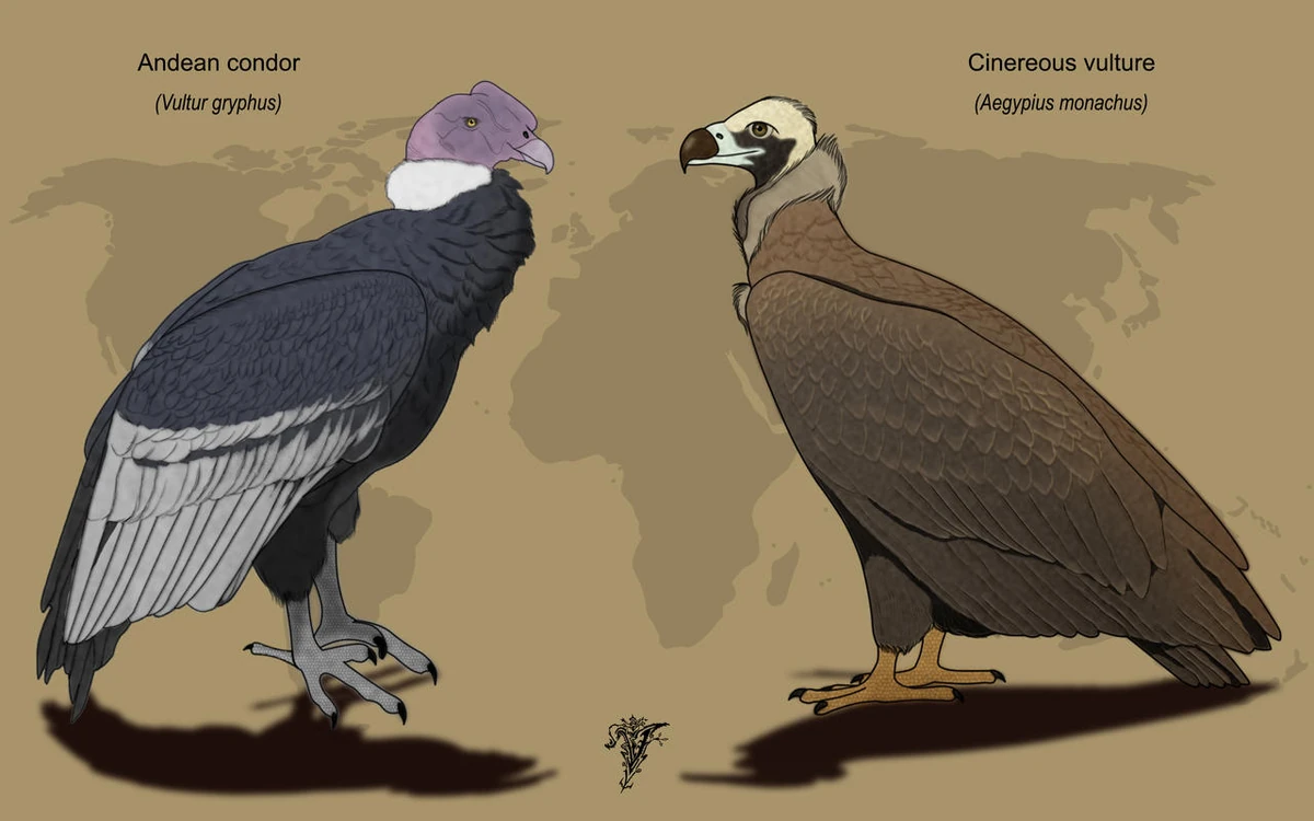 TIGER GUARD review | New ideas by Matt Weaver Wiki | Fandom