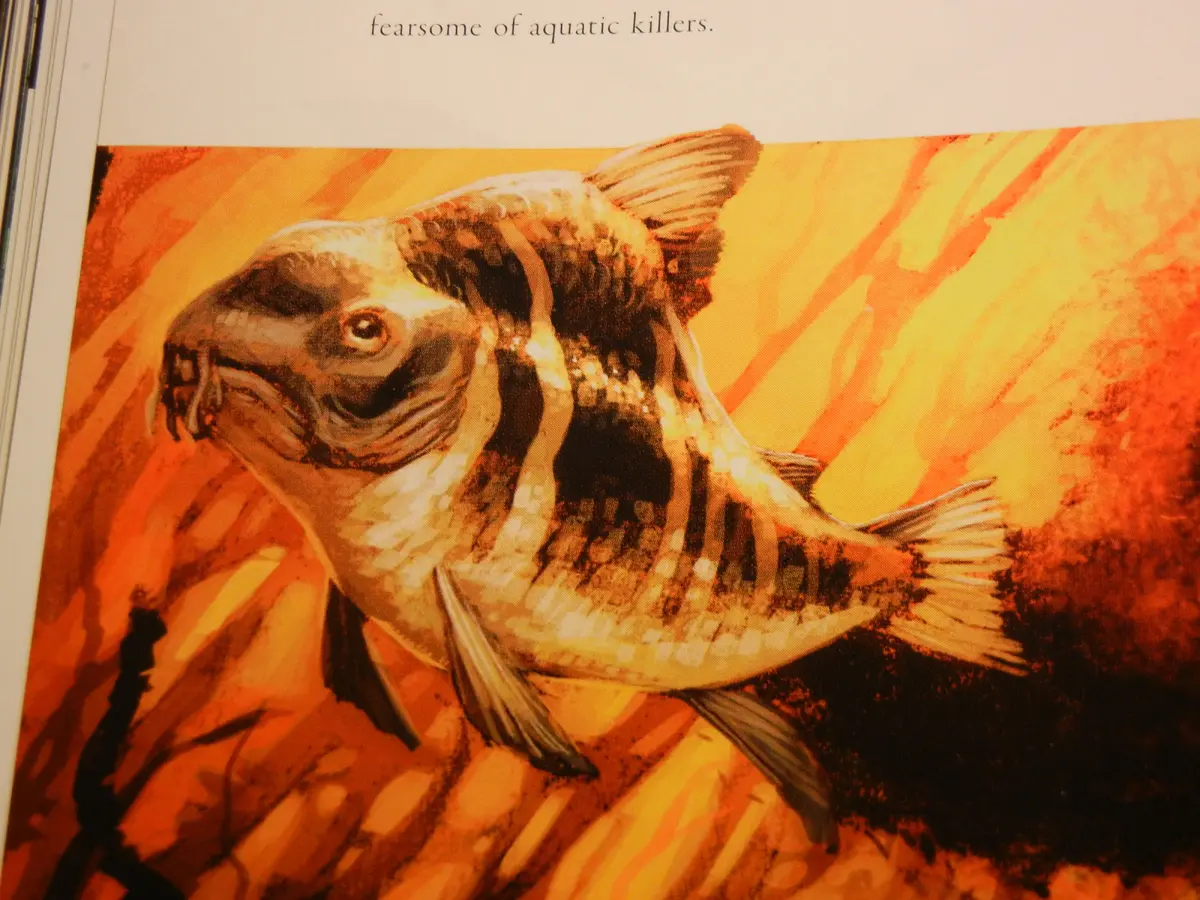 Stink-fish | New ideas by Matt Weaver Wiki | Fandom