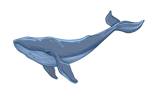 BLUE WHALES = Sim Salagrim-reboot: JUNGLE BOOK | New ideas by Matt ...