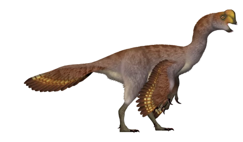 The Oviraptor file-Boneheads new series | New ideas by Matt Weaver Wiki | Fandom