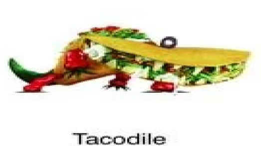 Tacodile-foodimal | New ideas by Matt Weaver Wiki | Fandom