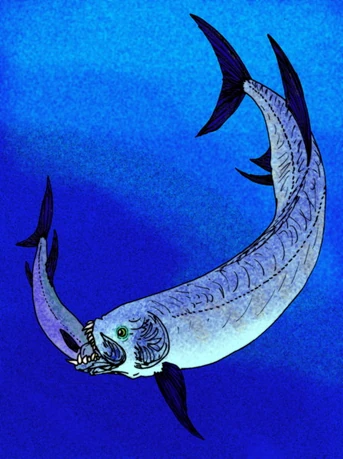 Xiphactinus | New ideas by Matt Weaver Wiki | Fandom