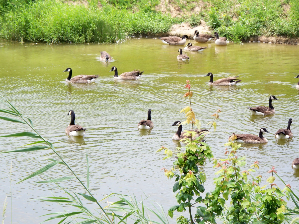 Cool Gallery by Matt Weaver 1 | New ideas by Matt Weaver Wiki | Fandom