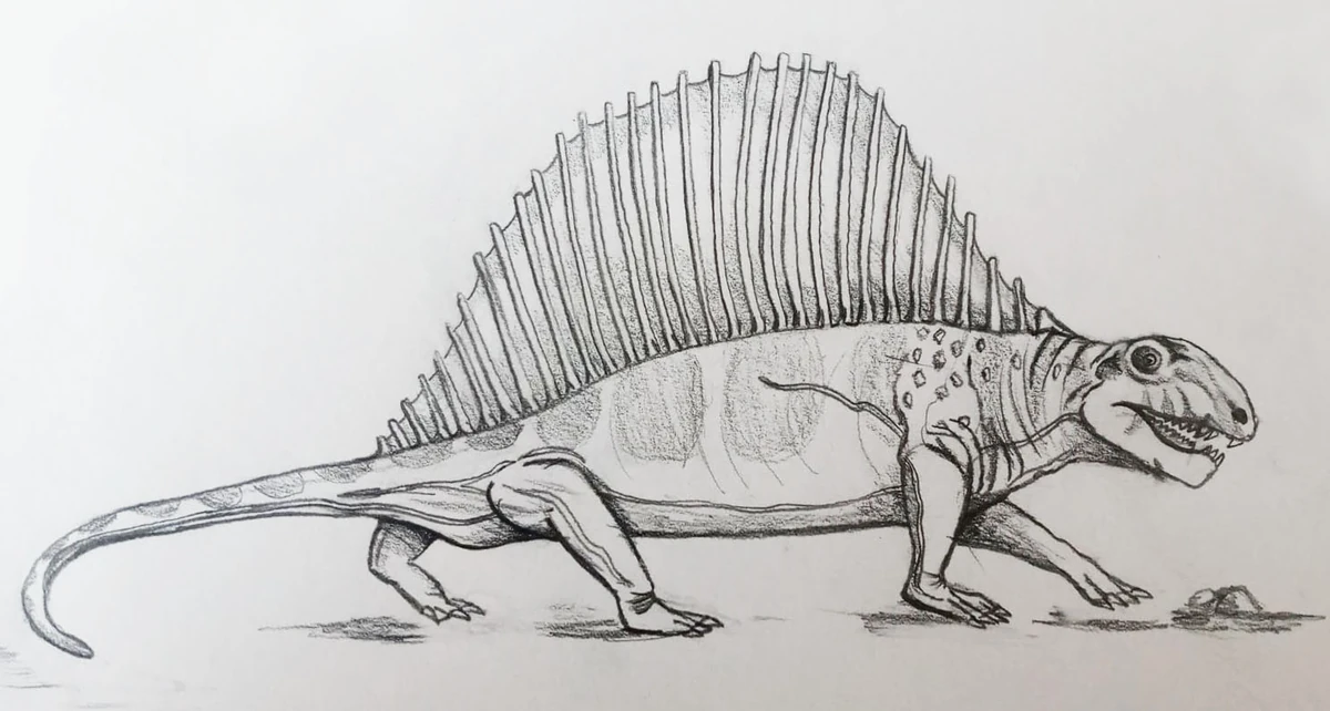 No Dimetrodon is an island-Boneheads: detectives of the paleoworld ...