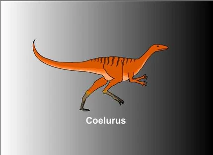 Coelurus | New ideas by Matt Weaver Wiki | Fandom