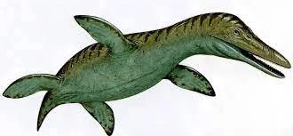 Pele Peloneustes-splash and bubbles prehistoric | New ideas by Matt ...